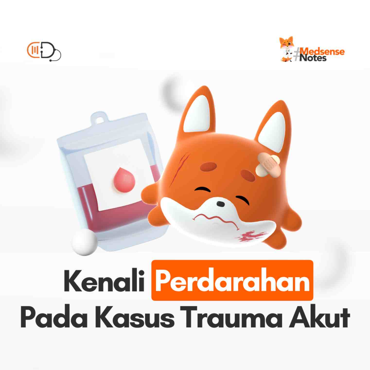 Meddy Notes - Medsense